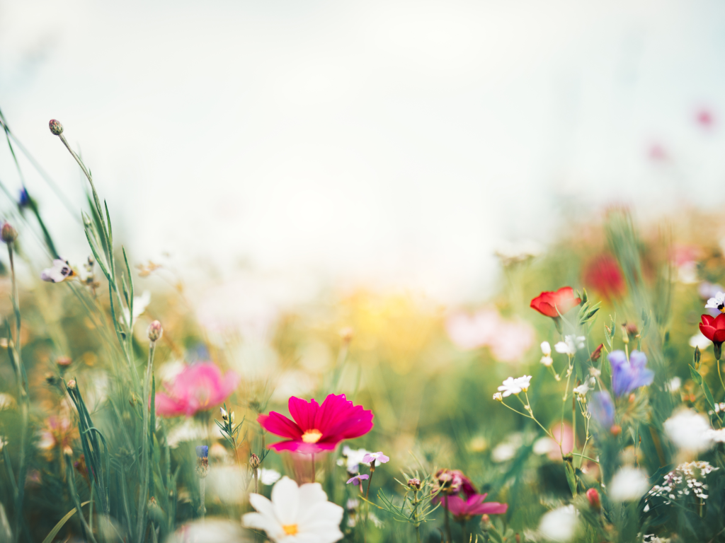 Sommartider! - Bräcke vårdcentral Nyhälsan